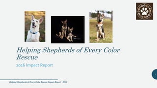 Helping Shepherds of Every Color Rescue 2016 Impact Report | PPT