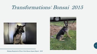 Helping Shepherds of Every Color Rescue 2016 Impact Report | PPT