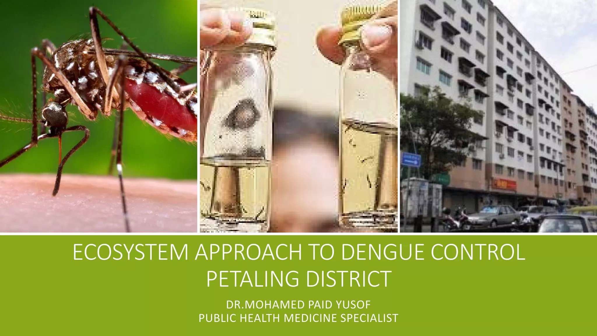 Ecosystem approach to dengue control | PDF