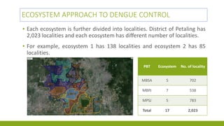 Ecosystem approach to dengue control | PPT
