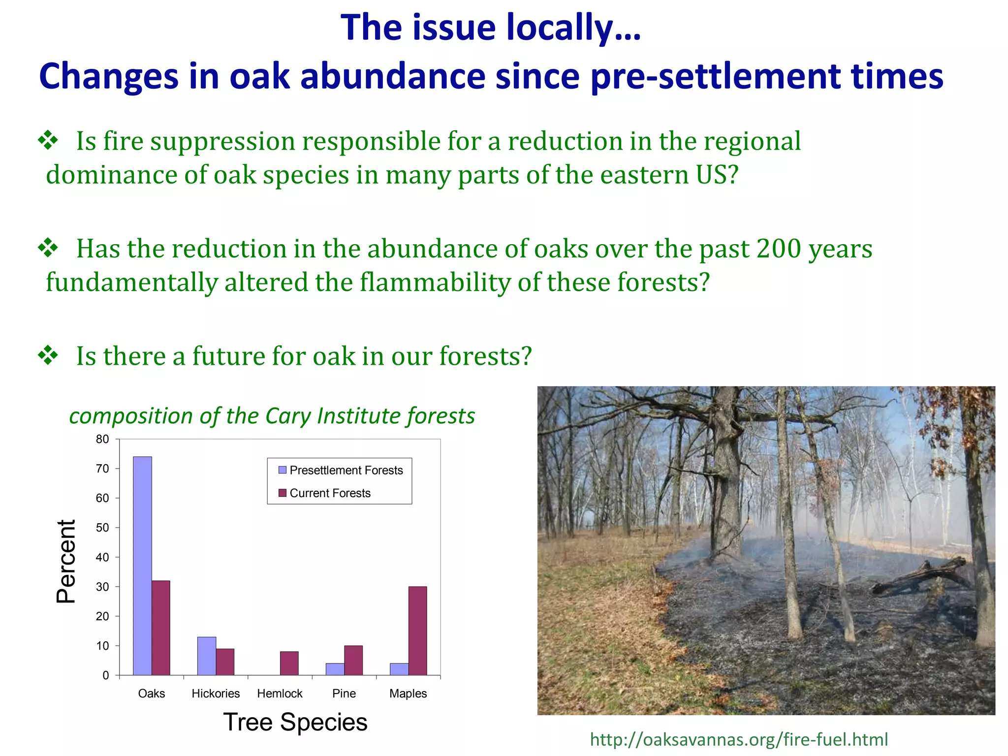 The Deep Roots of the Oak Regeneration Problem | PPTX