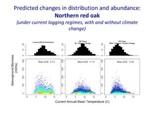 The Deep Roots of the Oak Regeneration Problem | PPT