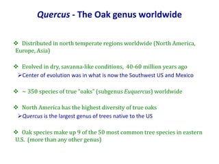 The Deep Roots of the Oak Regeneration Problem | PPTX