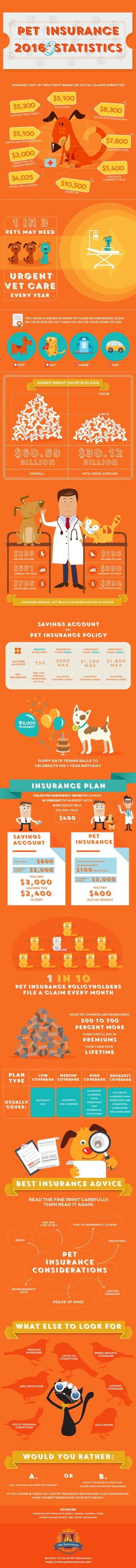 2016 pet insurance reviews and ratings infographic | PDF