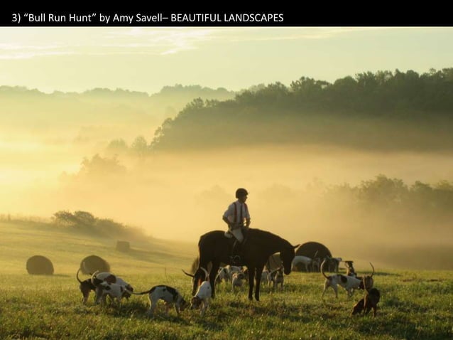 2016 photo contest voting | PPT