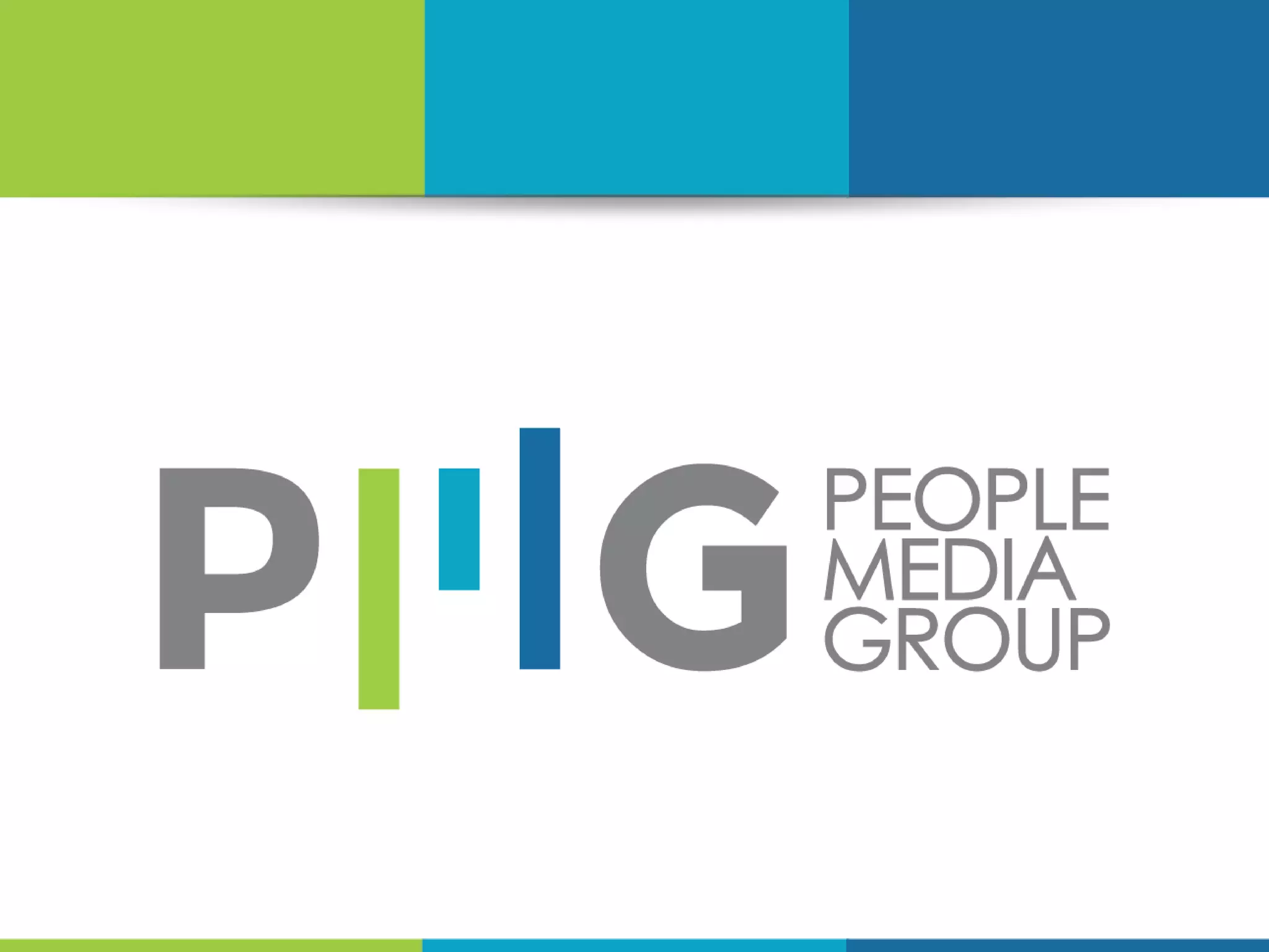 2016 pmg profile | PDF