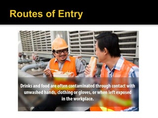 PPE safety intro | PPTX