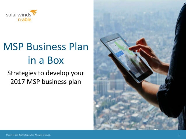 MSP Business Plan in a Box | PDF