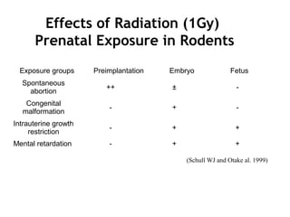 (마더리스크라운드) Radiation in Pregnancy 조연경 교수 | PPT