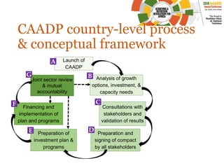 Tracking Key CAADP Indicators and Implementation | PPTX