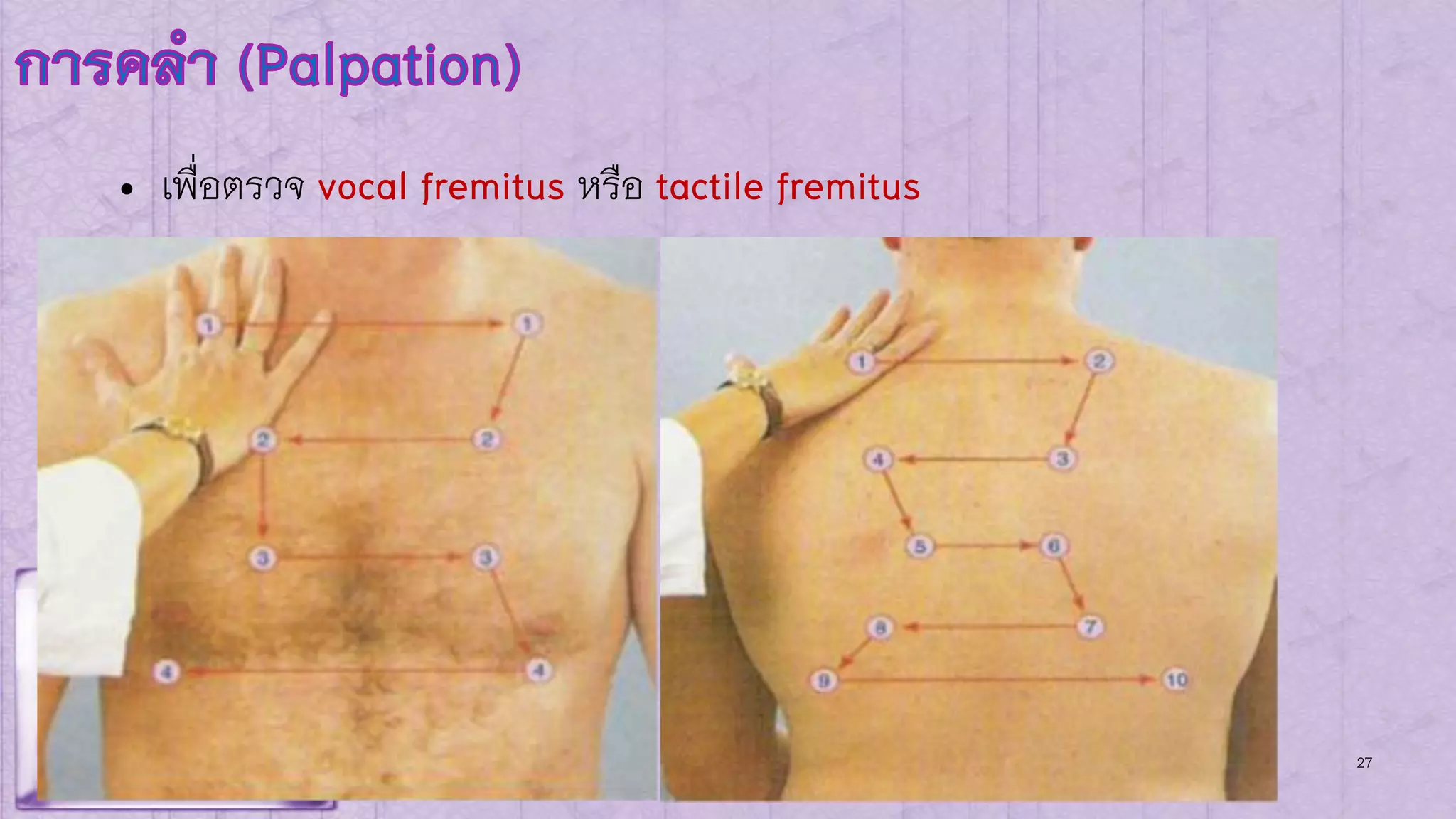 2016 Respiratory Assessment | PDF