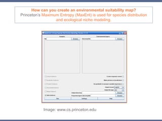 Princeton's Maximum Entropy Tutorial | PPTX
