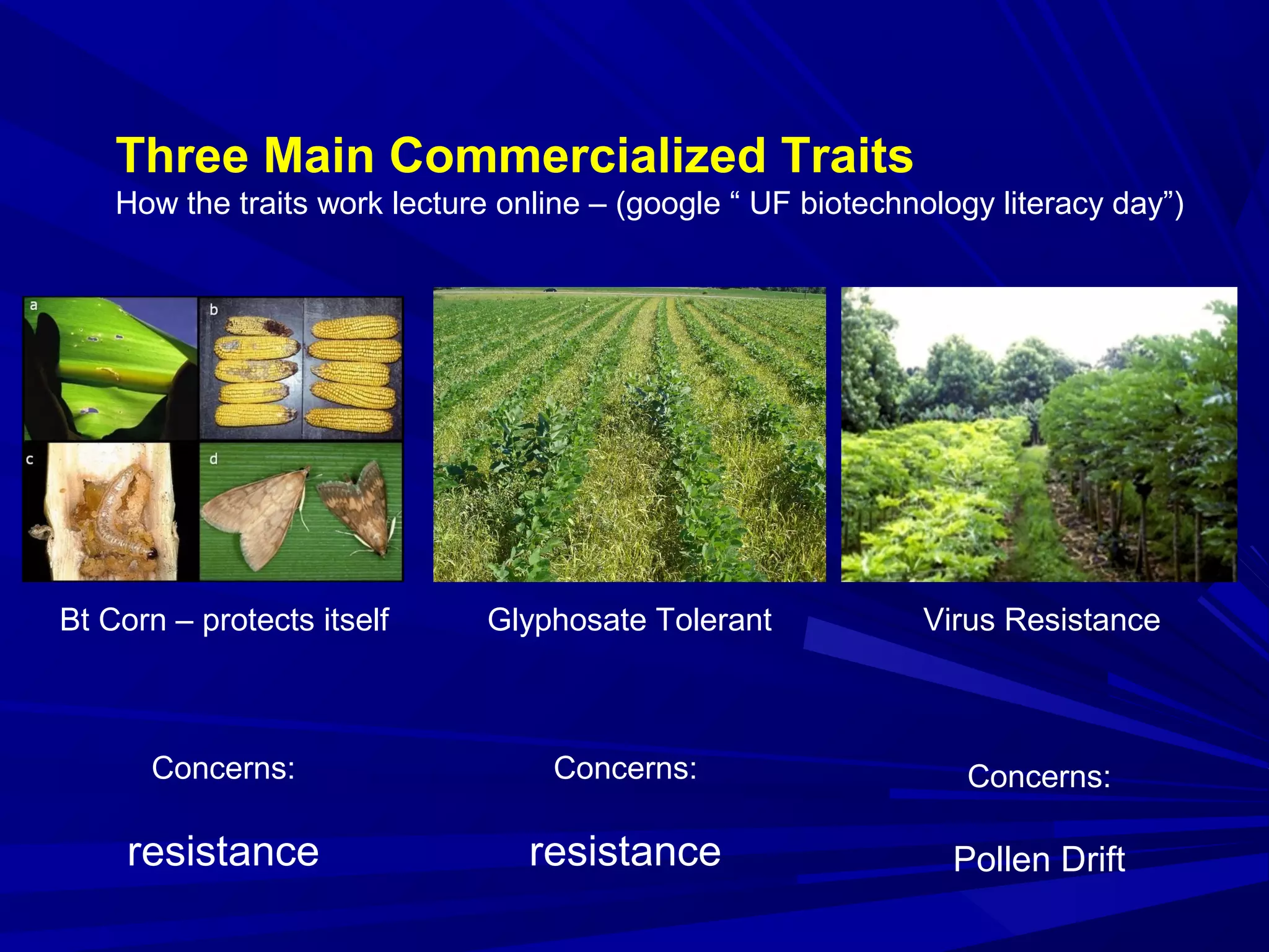 What is Biotechnology? Real Risks and Benefits | PPT