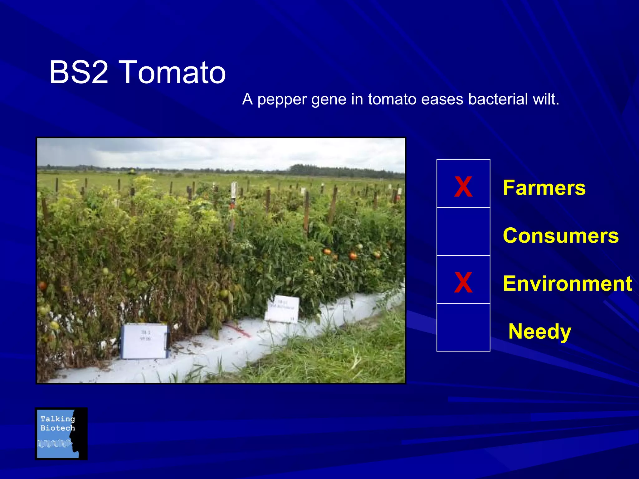 What is Biotechnology? Real Risks and Benefits | PPT