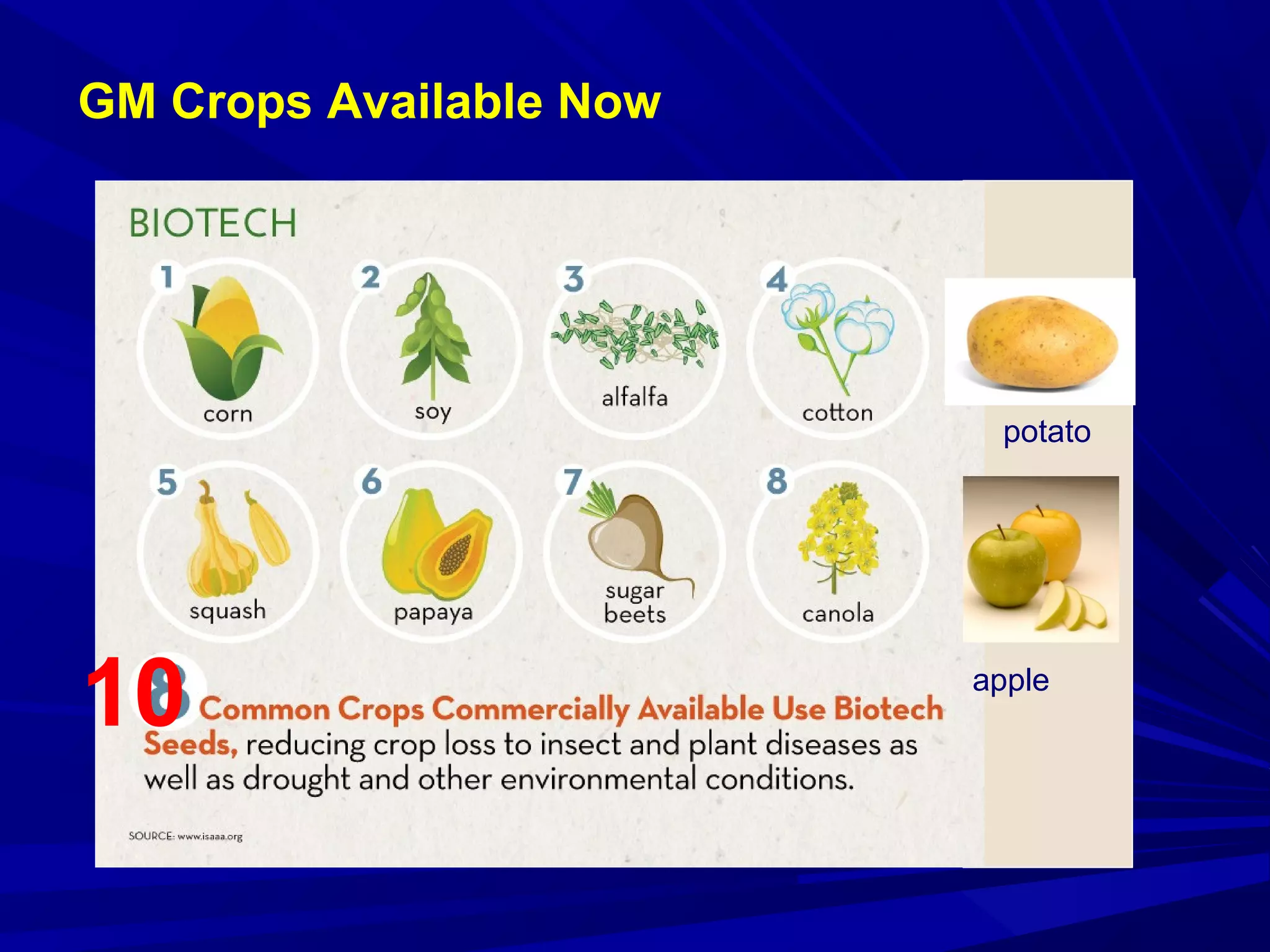 What is Biotechnology? Real Risks and Benefits | PPT