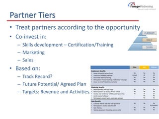 Partner Program Development for Scalable International Growth - Tenego ...