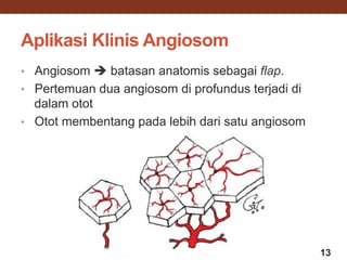 Vascular Territories | PDF