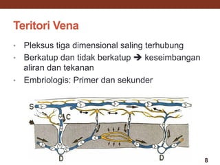 Vascular Territories | PDF