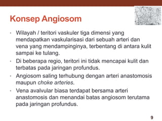 Vascular Territories | PDF