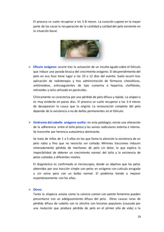 (2017 02-23)alopecia introducción, clasificación y diagnóstico(ppt) | DOCX