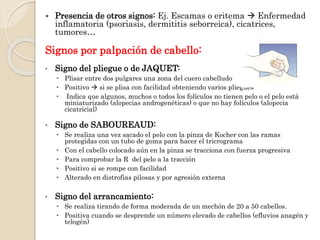 (2017 02-23)alopecia introducción, clasificación y diagnóstico(ppt) | PPTX