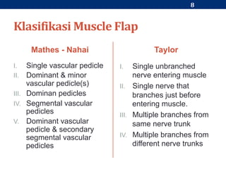 Muscle Flap | PDF
