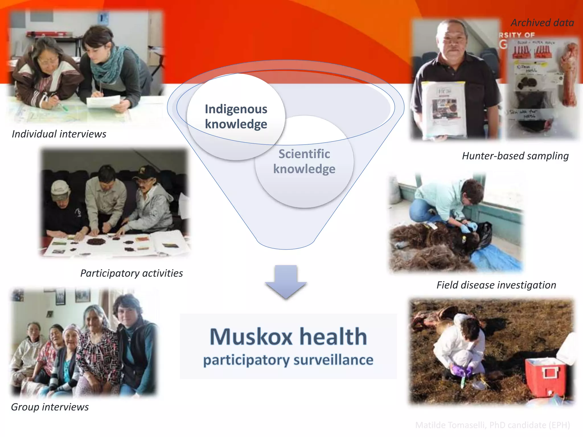 The interconnections between human, animal and environmental health | PPTX