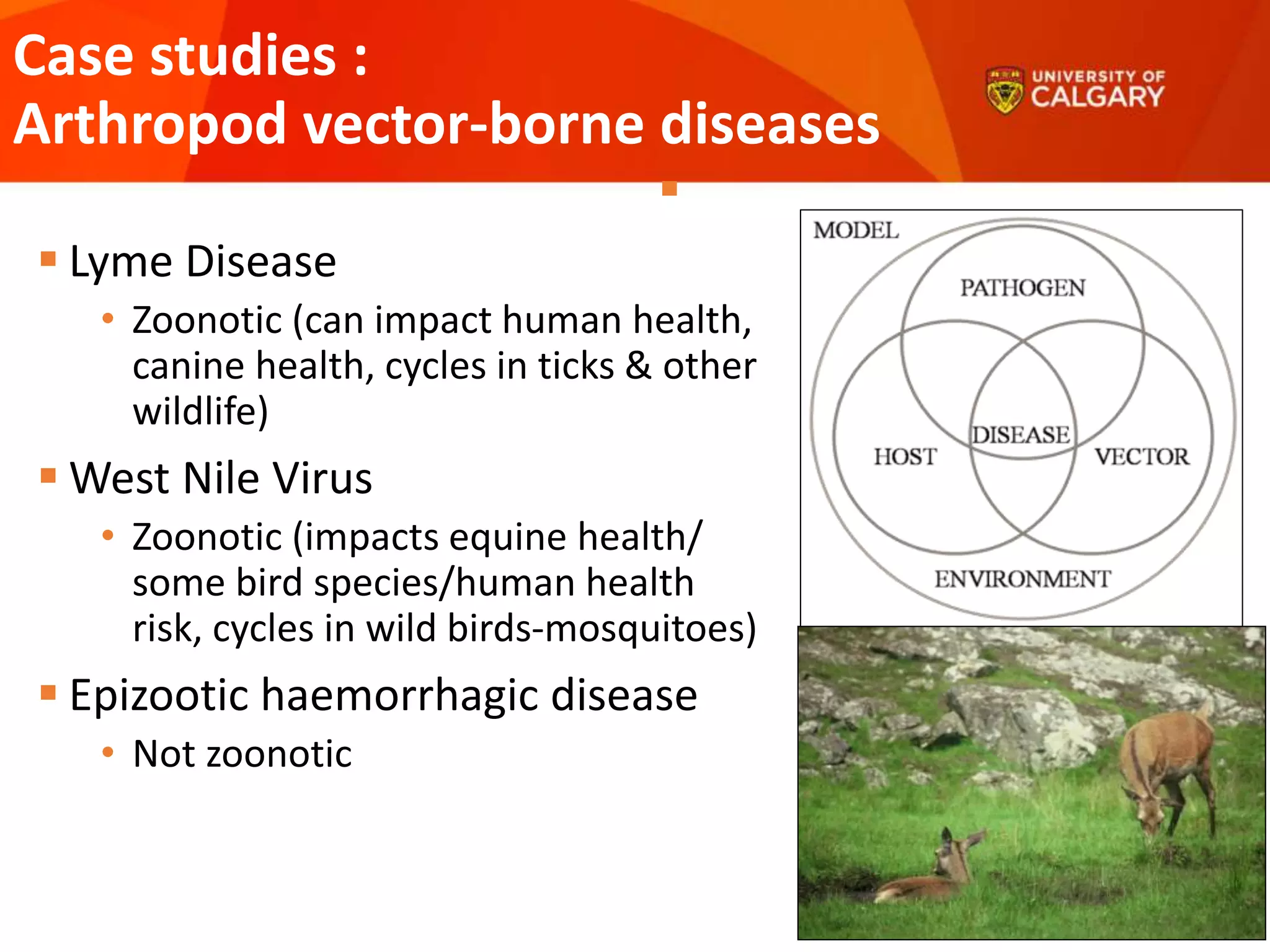 The interconnections between human, animal and environmental health | PPTX
