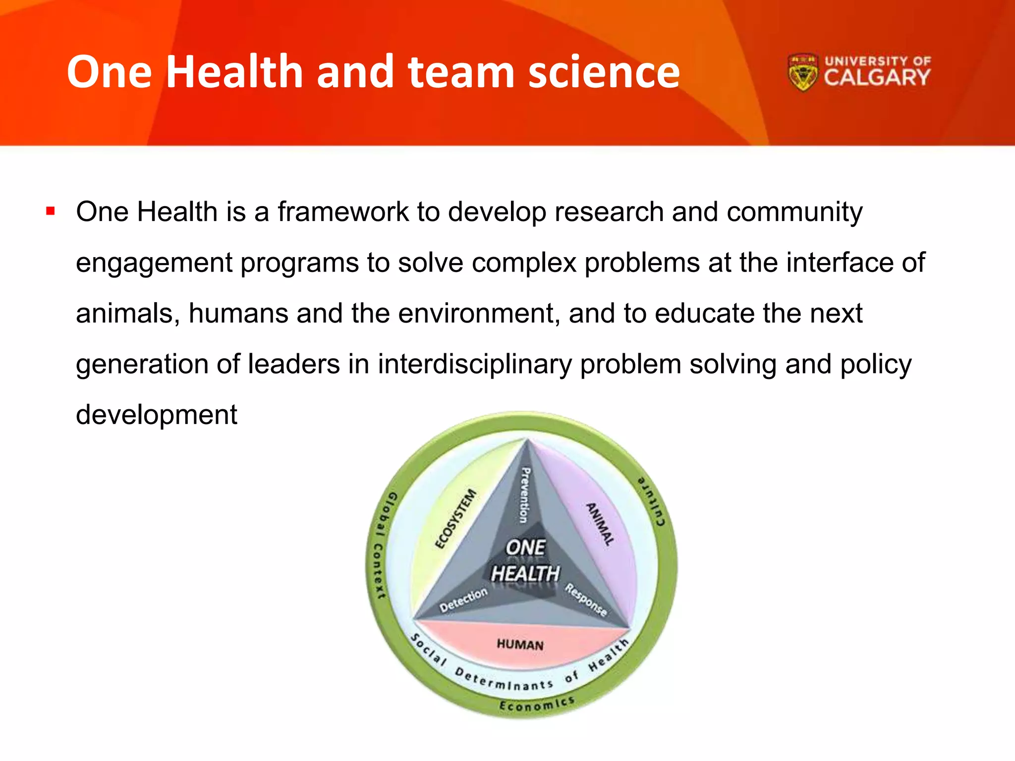 The interconnections between human, animal and environmental health | PPTX