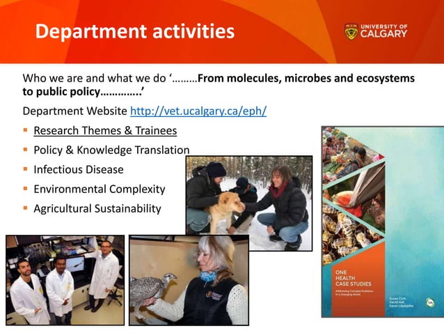 The interconnections between human, animal and environmental health ...