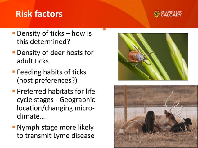 The interconnections between human, animal and environmental health ...