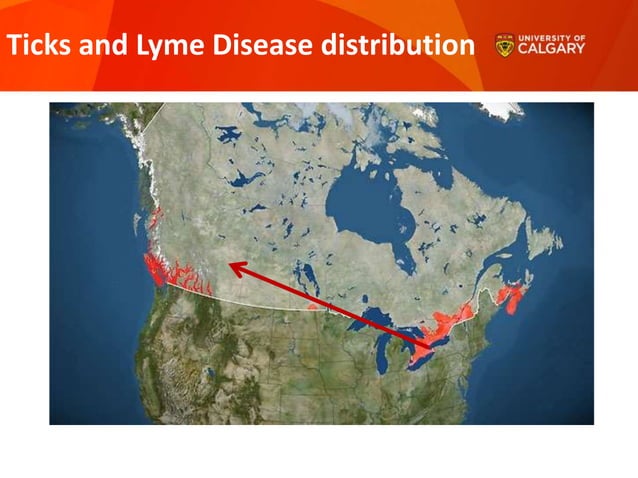 The interconnections between human, animal and environmental health ...