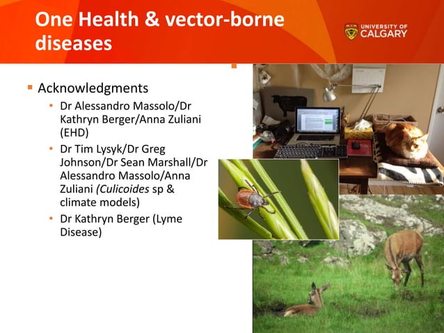 The interconnections between human, animal and environmental health ...