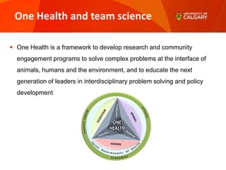 The interconnections between human, animal and environmental health | PPTX