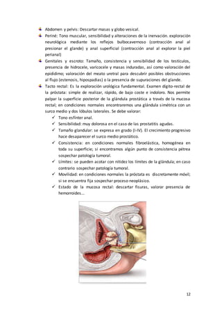 (2017 03-23) Patología prostática en Atención Primaria (DOC) | DOCX
