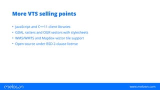 VTS 3D Map Streaming and Rendering Stack | PDF