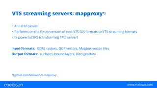 VTS 3D Map Streaming and Rendering Stack | PDF