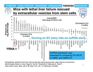 Extracellular RNA Communication: Mechanisms, Biomarkers, and Therapies ...