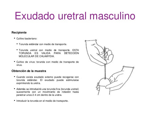 2017 11 08 Tomademuestras Ppt