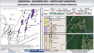 Review of Oil and Gas Production in NW Argentina | PPT