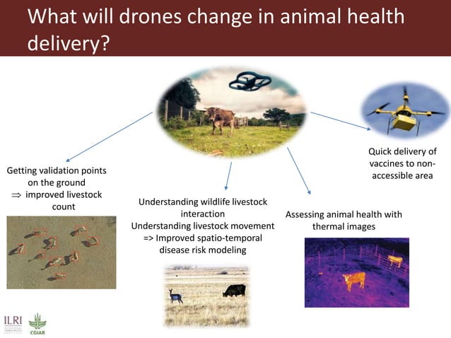 Geospatial Technology in Animal Health Delivery | PPTX