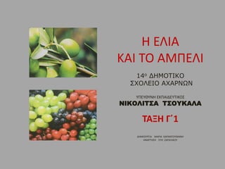 2017 ,Η ελιά και το αμπέλι, Νικολίτσα Τσουκαλά | PPT