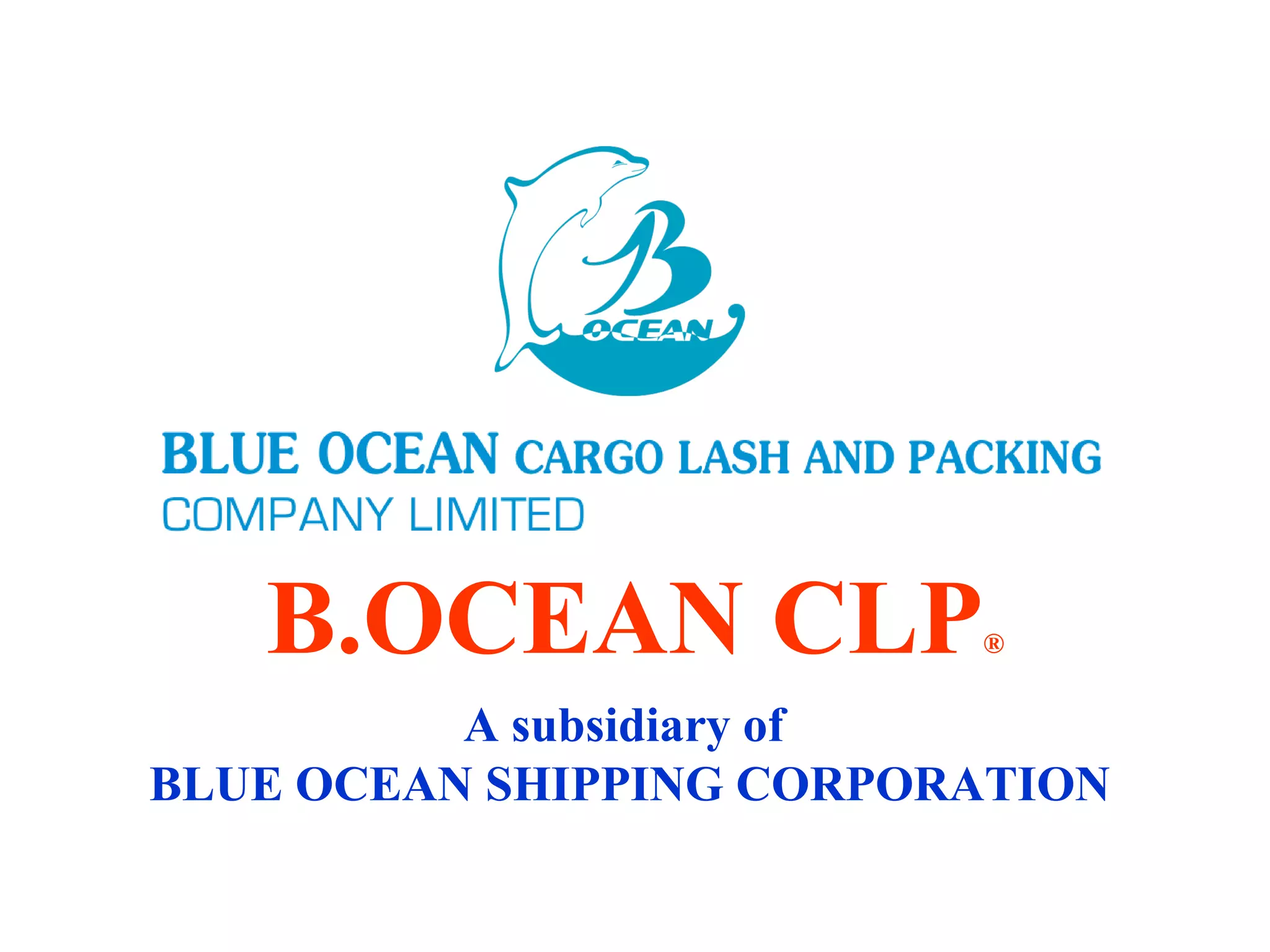 2017.03 business introduction blue ocean cargo lashing & packing ...