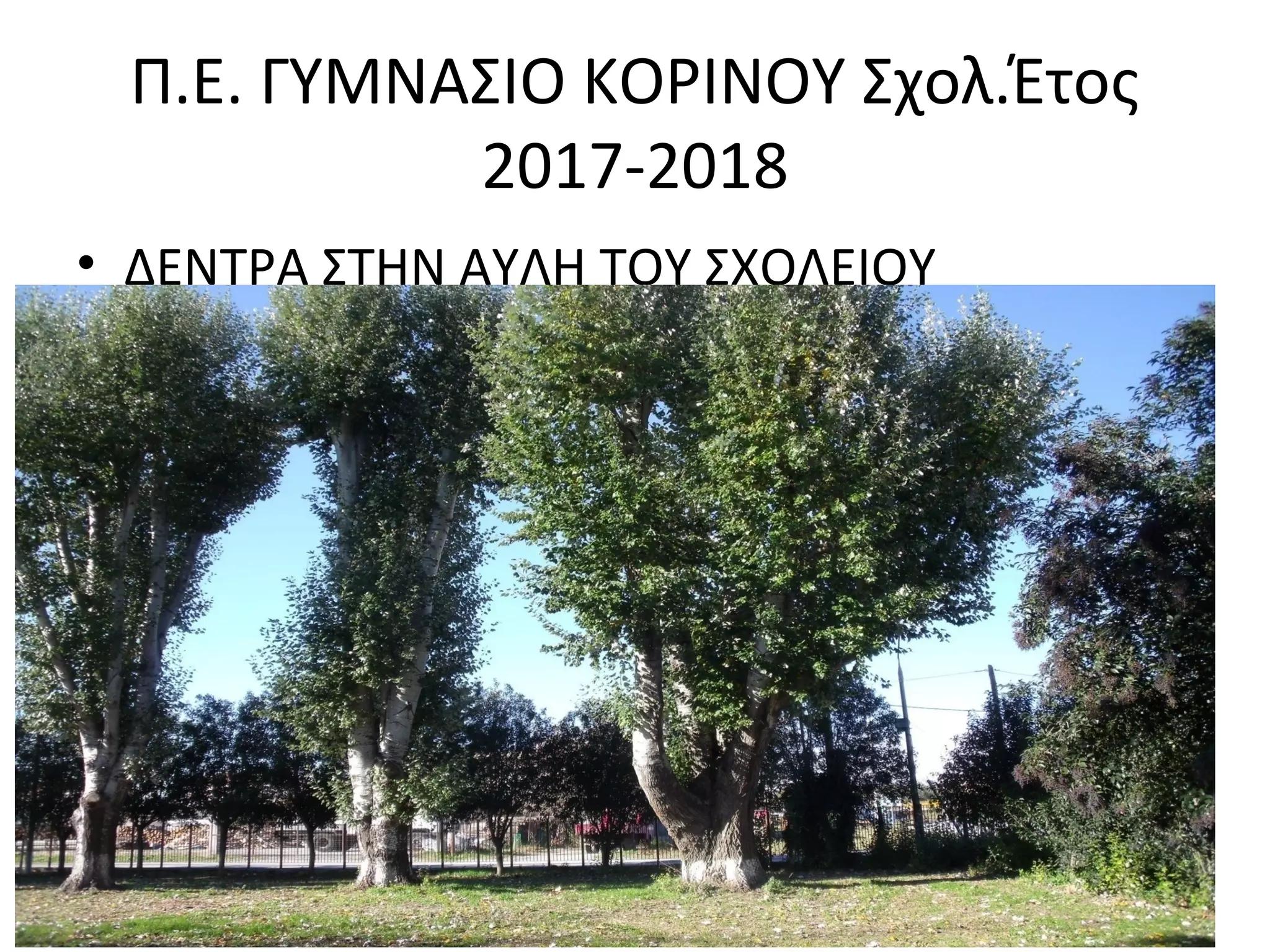 2017 2018 | PPT