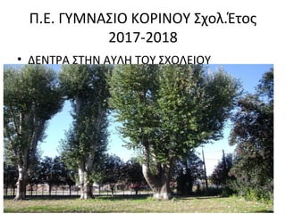 2017 2018 | PPT