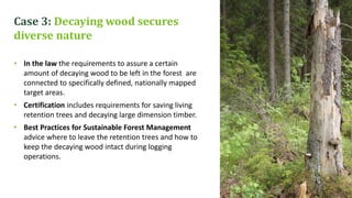Best Practices for Sustainable Forest Management in Finland | PPTX