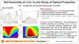 Public Defense "Assemblies of gold nanoparticles at liquid-liquid ...