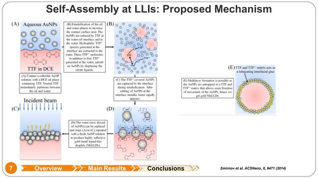 Public Defense "Assemblies of gold nanoparticles at liquid-liquid ...