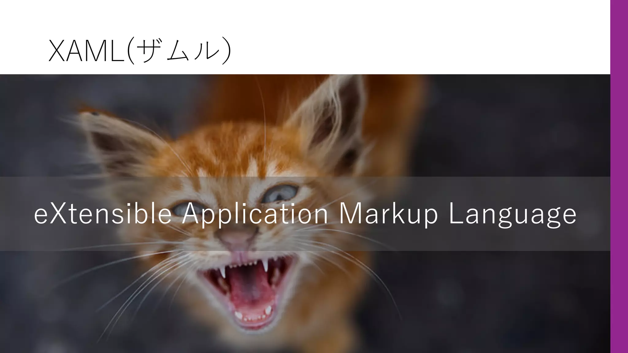 XAML入門 | PDF | Programming Languages | Computing
