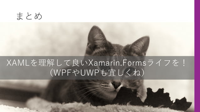 XAML入門 | PDF | Programming Languages | Computing
